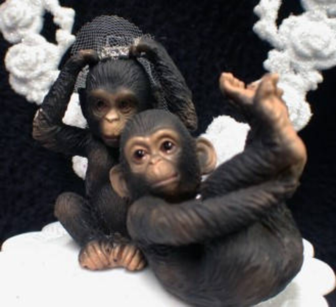 Your My Cutie. Heart Chimp Wedding Cake Topper Groom Topper. Zoo Monkey ...