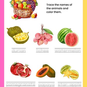 Fruit Vocabulary Tracing Worksheet | Handwriting Practice PDF for Kids ...