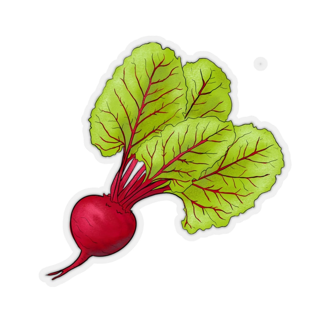 Turnip Sticker Vegetable Vegan Veggie Garden Gift Jitterbug Perfume Tom ...