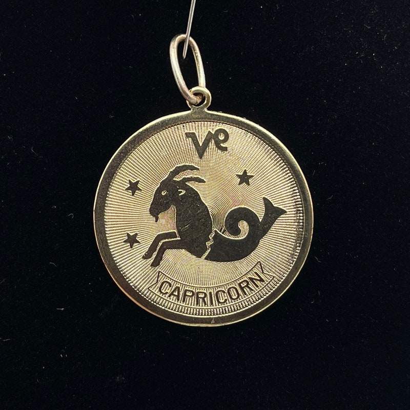 Capricorn January Pendant - Etsy