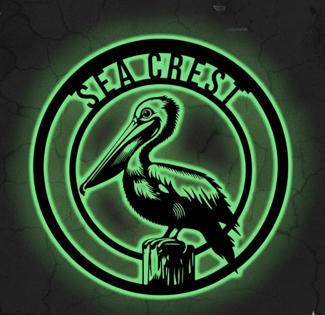Personalized Pelican LED Light up Sign, Beach House Gift, Custom Name ...