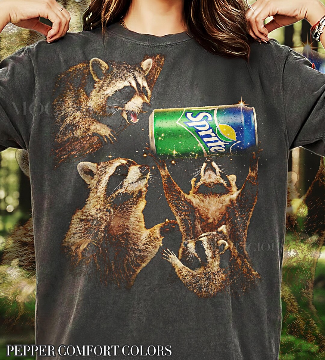 Vintage Raccoon Sprite 90s Graphic Style Comfort Colors® Tshirt, Funny ...