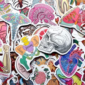 Science Anatomy Stickers, Medical Study, Biology, for Journals, Phone ...
