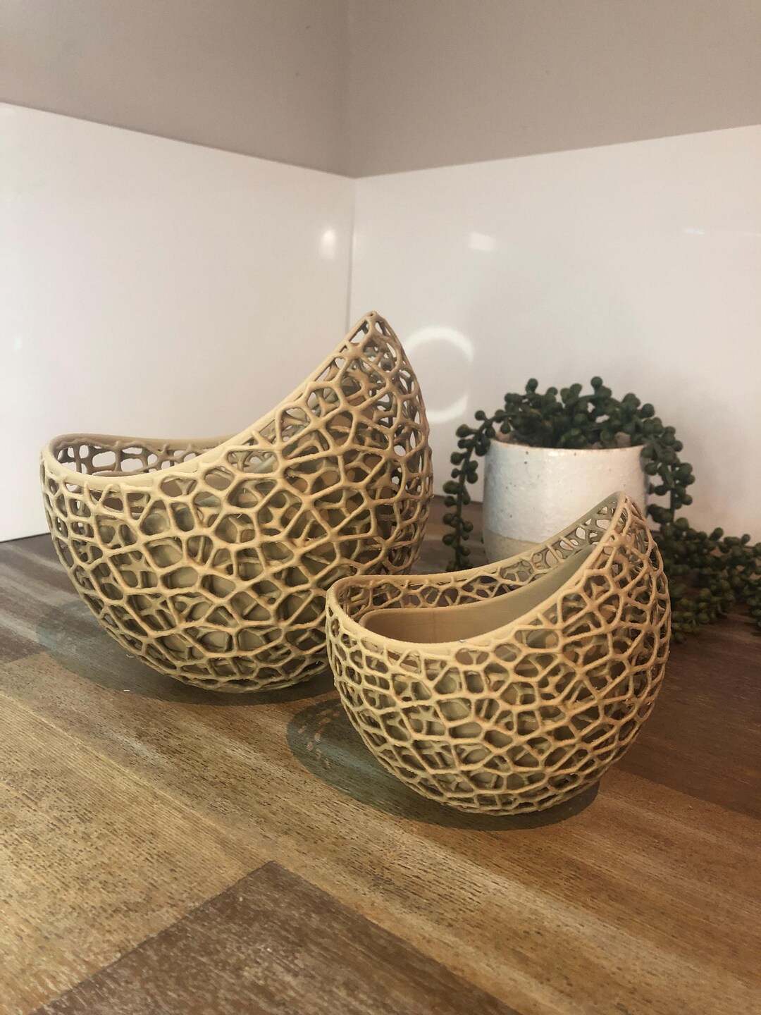 Organic Cocoon Planter | 3D Printed Parametric Plant Pot | Modern ...