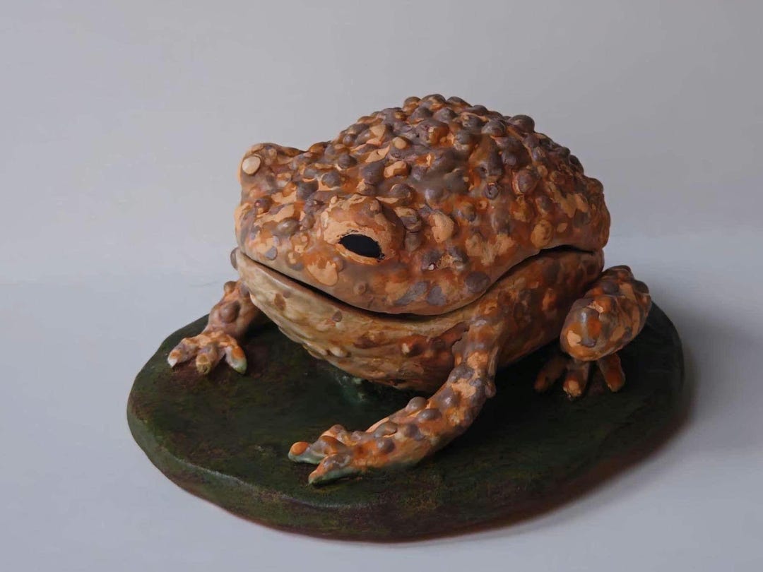 Medium Toad Box - Etsy
