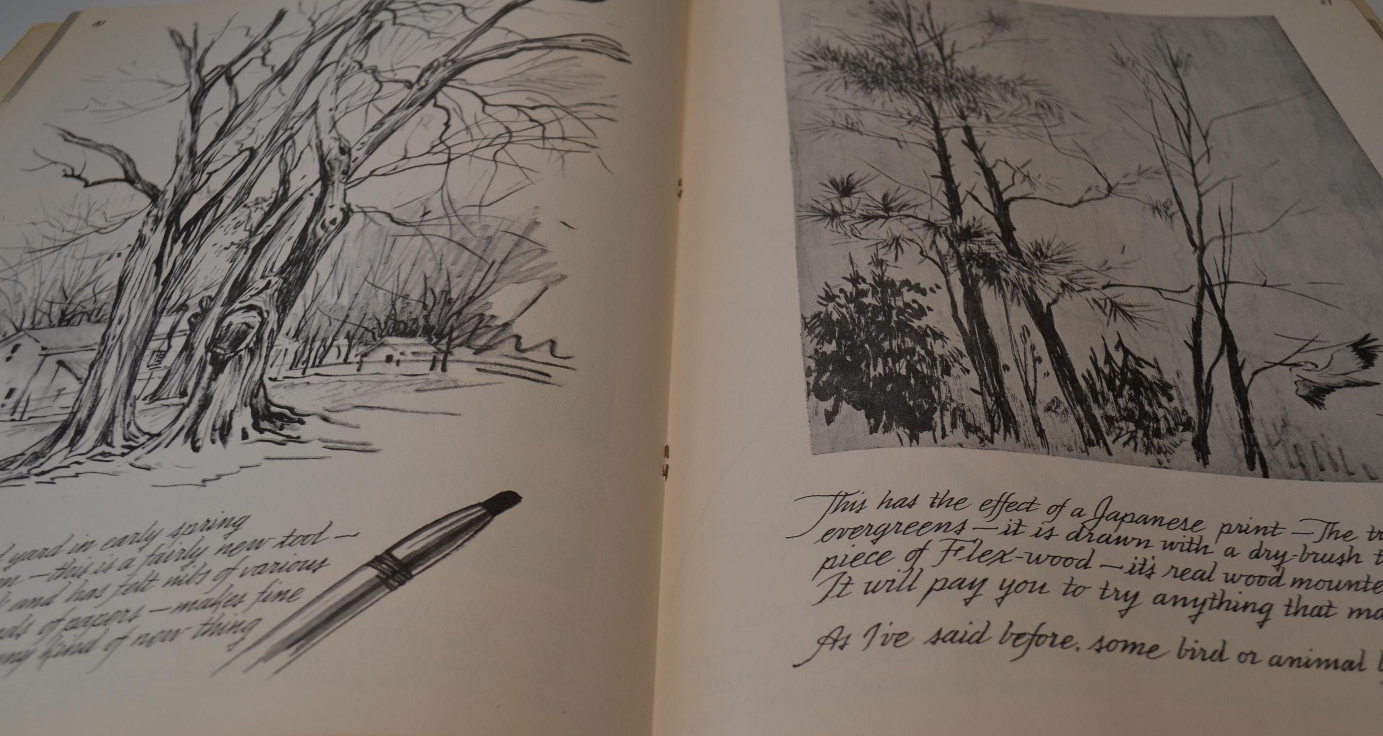 Vintage More Trees How to Draw Trees Book by Frederick Garner - Etsy