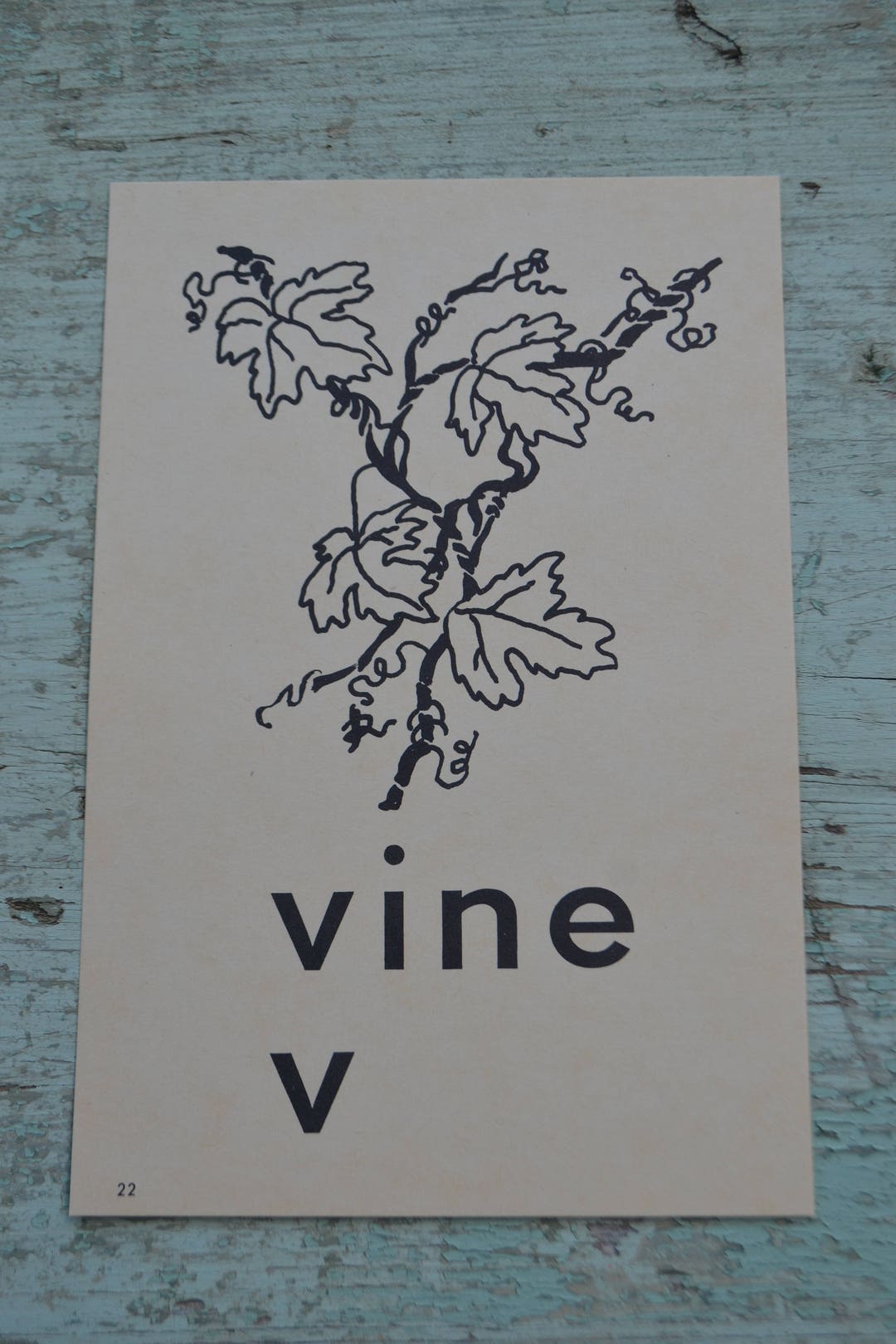 Vintage Flash Card Flashcard Picture Noun Ephemera Large 1950s - Vine ...