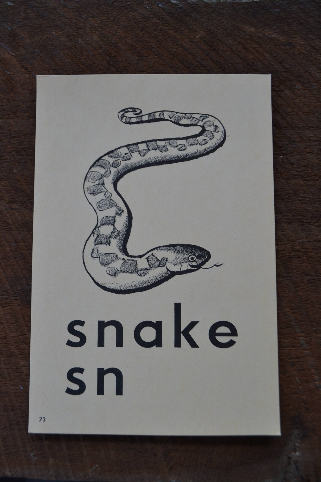 Vintage 1950s Educational Ephemera Scrapbooking Large Picture Print ...