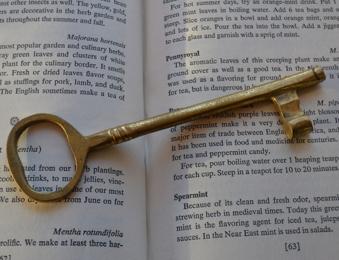Vintage Large Brass Looking Metal Industrial Skeleton Key Home Decor - Etsy