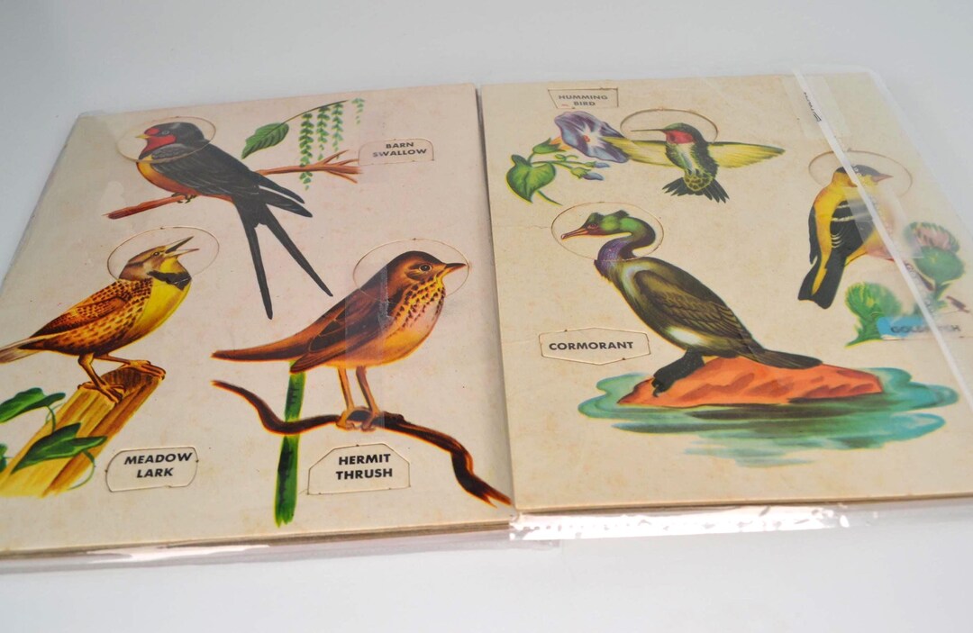 Vintage Cardboard Bird Sheets Set of 4 - Etsy