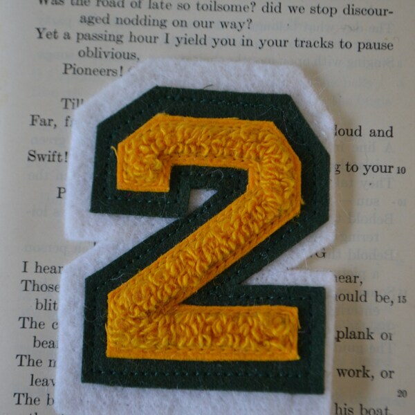 Yellow and Green Varsity Jacket - Etsy