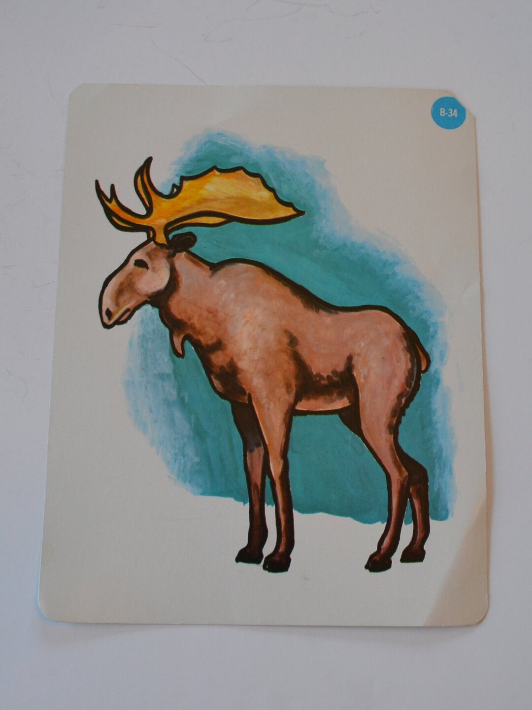 Language Development Vintage Flashcard Flash Card Image Picture ...