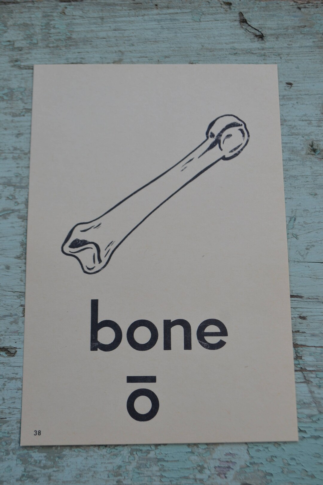 Vintage Flash Card Flashcard Noun Educational 1950s Large Picture Bone ...