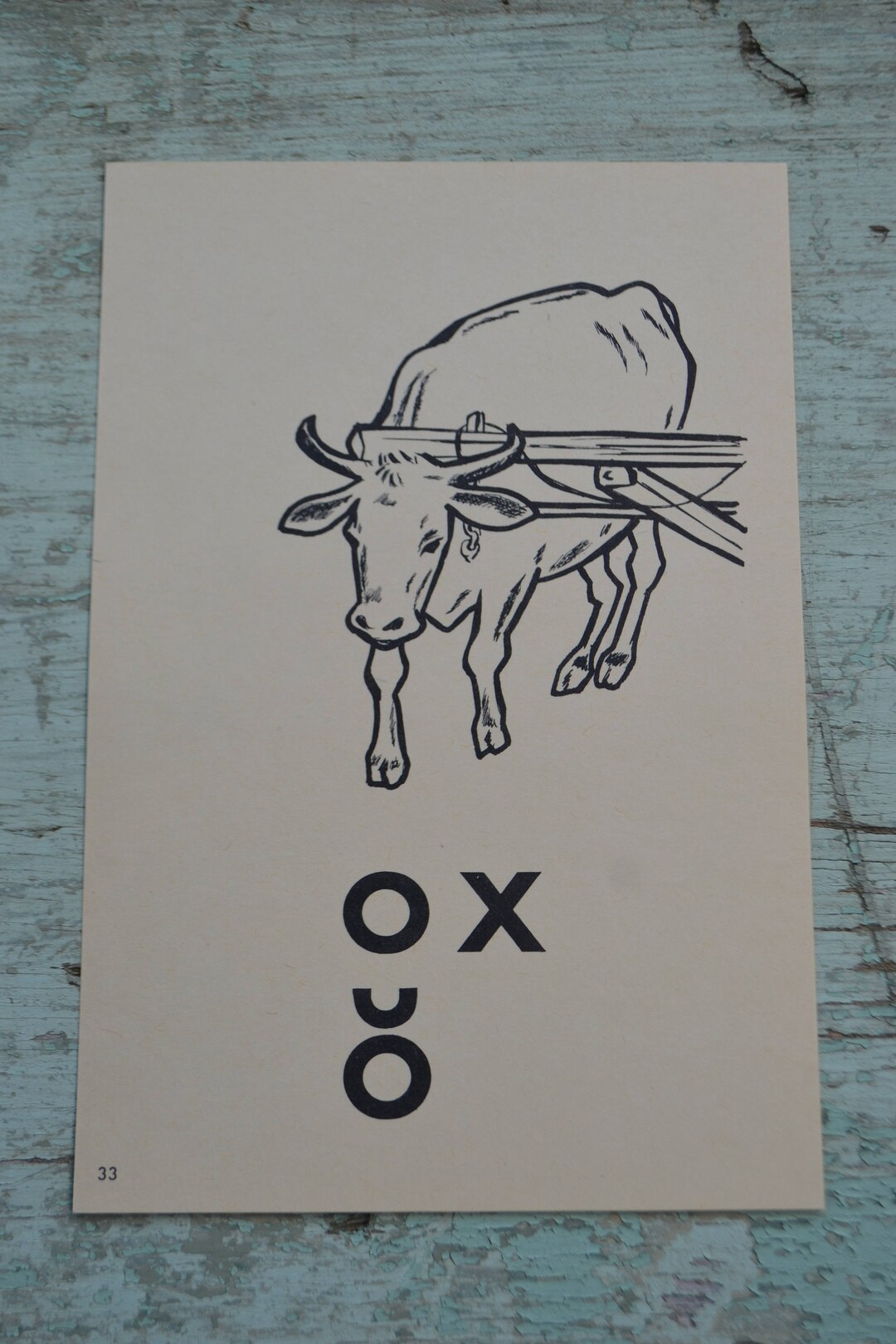 Vintage 1950s Flash Card Ephemera Animal Picture Ox - Etsy