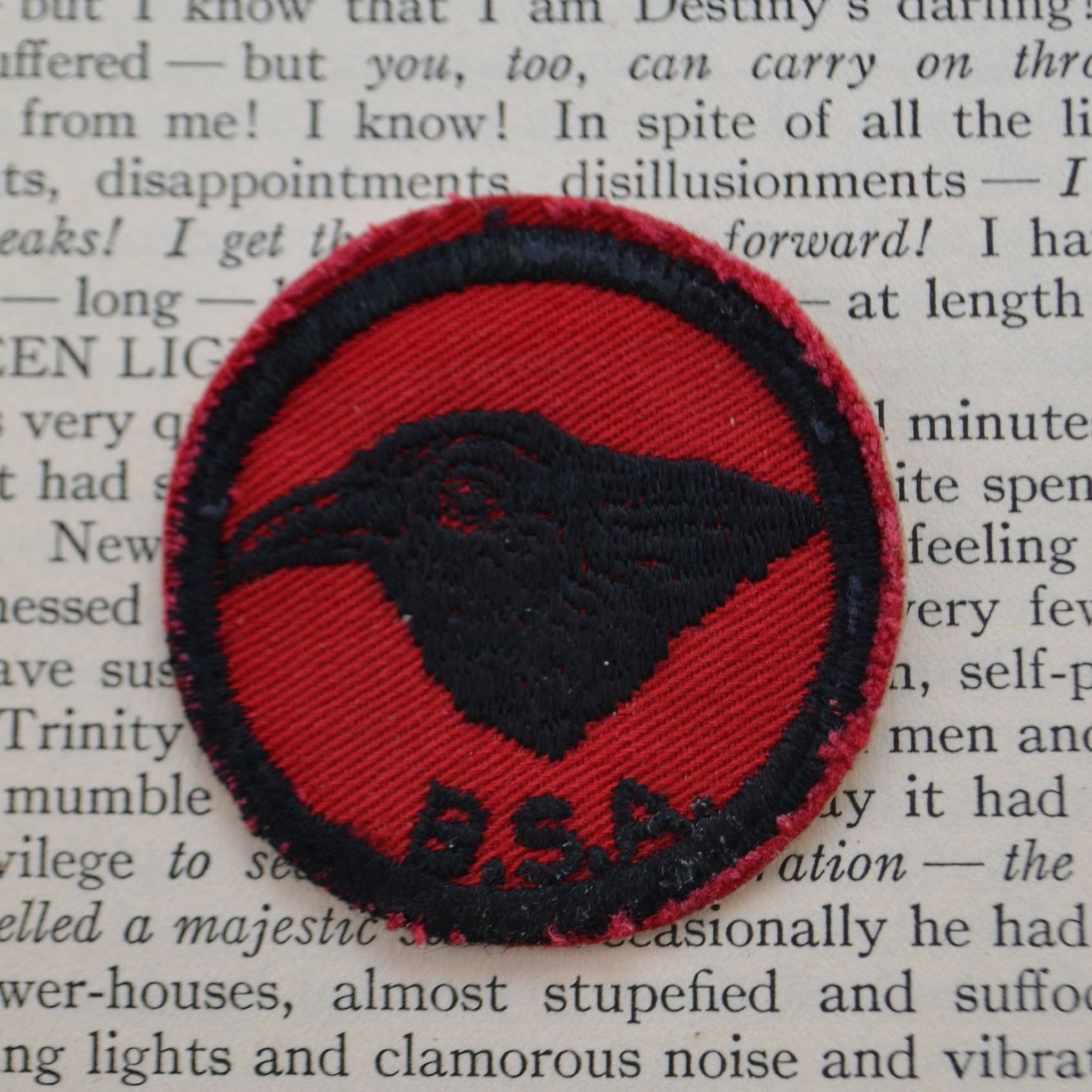 Reclaimed Vintage Boy Cub Scouts BSA Red Black Crow Badge | Etsy