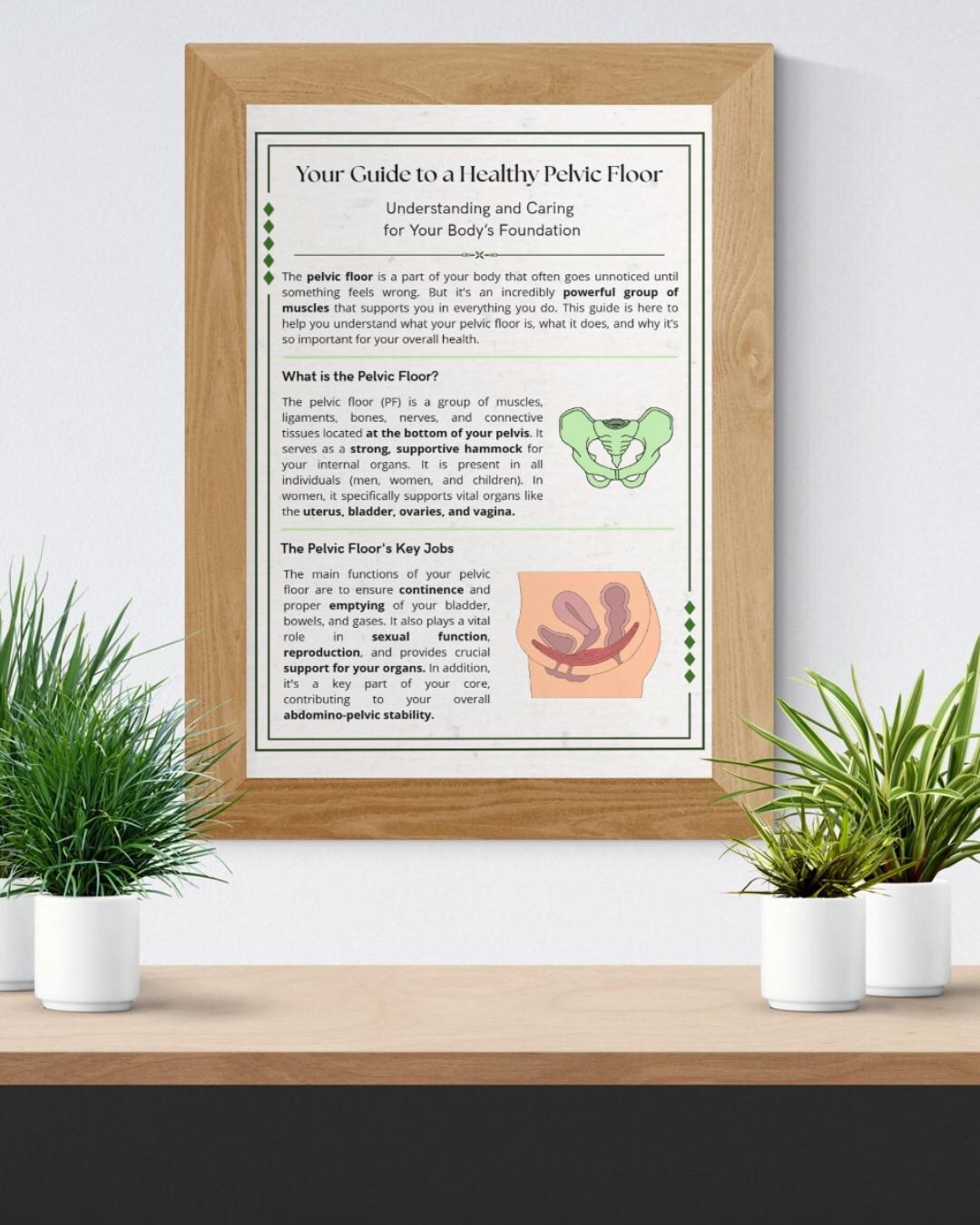 Pelvic Floor Patient Education Handout | Pelvic Health Education Guide ...