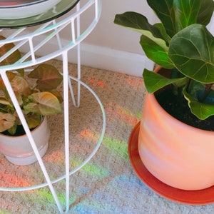 Hold Onto Your Buns! Suncatcher Sticker Rainbow Maker Window Decal - Etsy