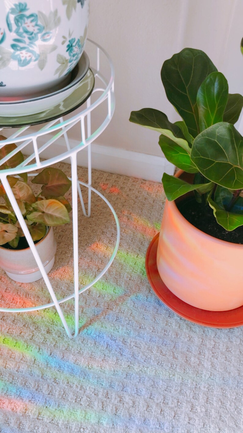 Hold Onto Your Buns Suncatcher Sticker Rainbow Maker Window | Etsy