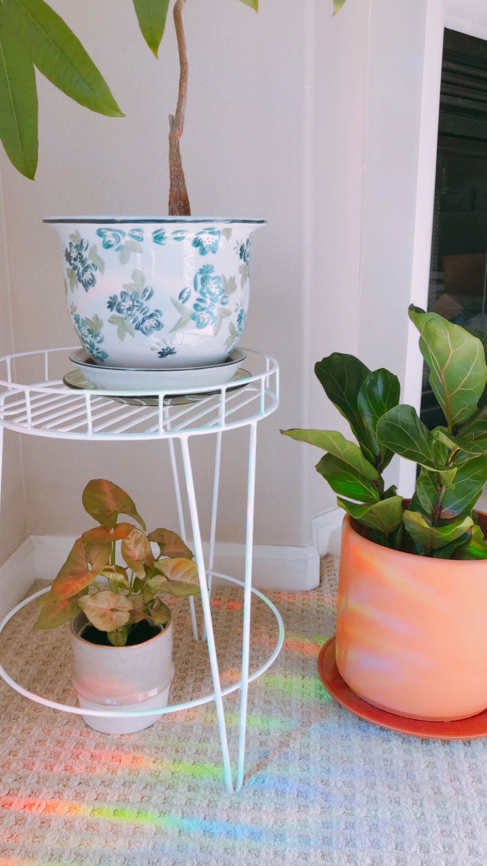 Hold Onto Your Buns Suncatcher Sticker Rainbow Maker Window - Etsy