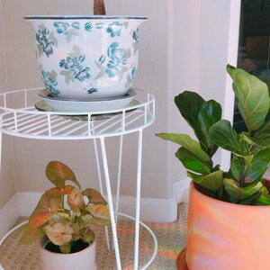 Hold Onto Your Buns! Suncatcher Sticker Rainbow Maker Window Decal - Etsy