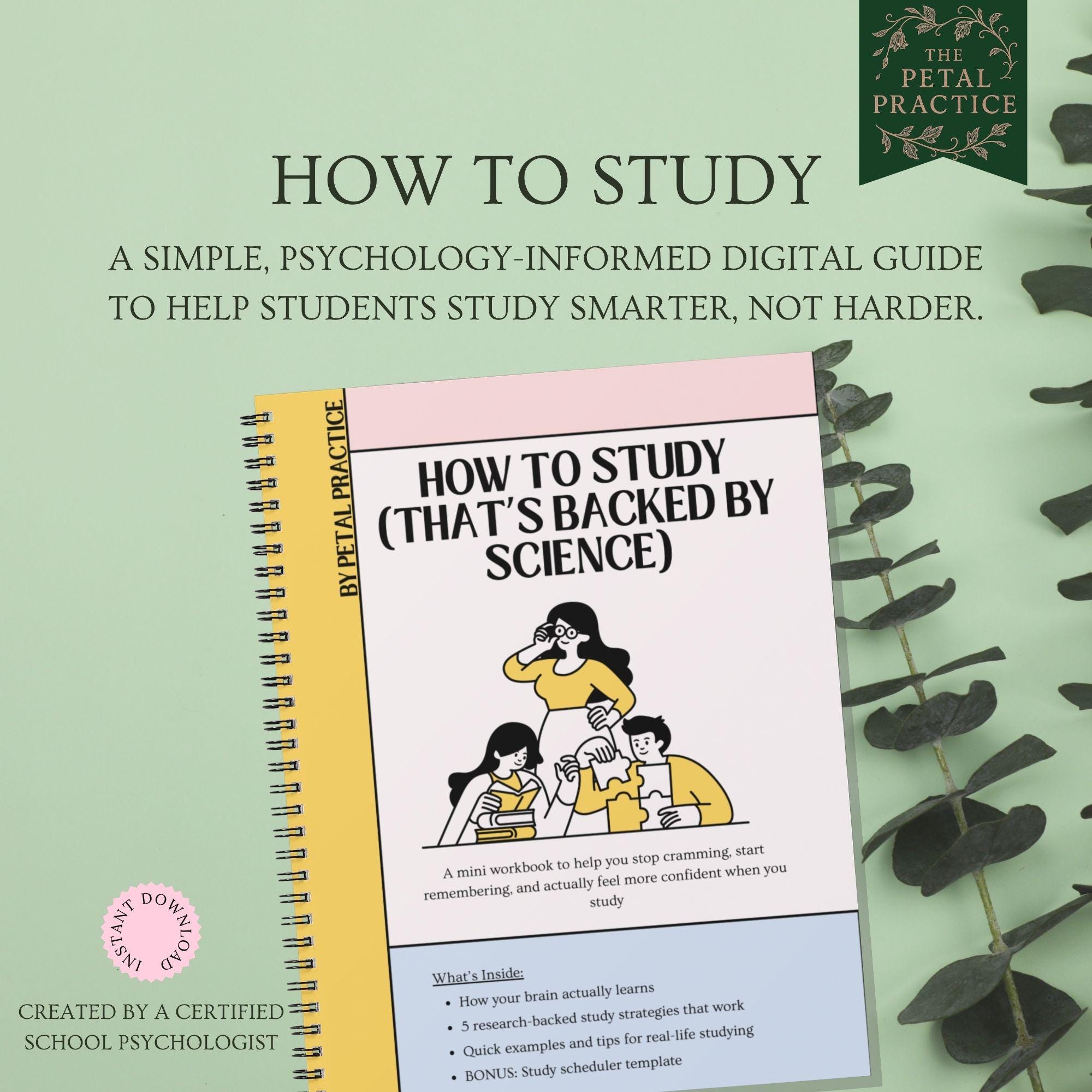 Study Skills Digital Guide for Teens | Brain-based Learning (PDF) - Etsy