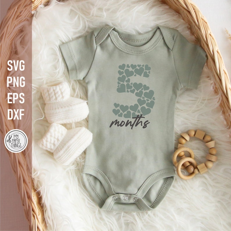 Monthly Baby Milestones Bundle Svg Numbers Svg First - Etsy