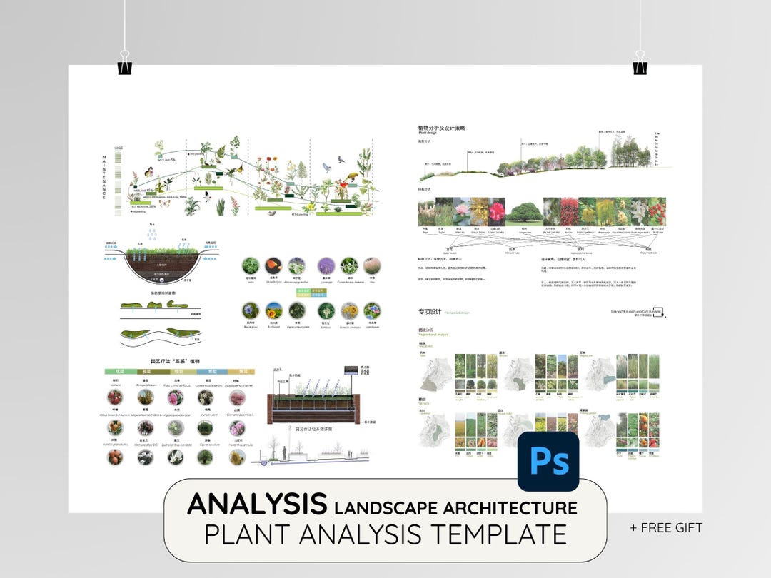 Plant Analysis PSD Template | Landscape Architecture Diagram (digital ...