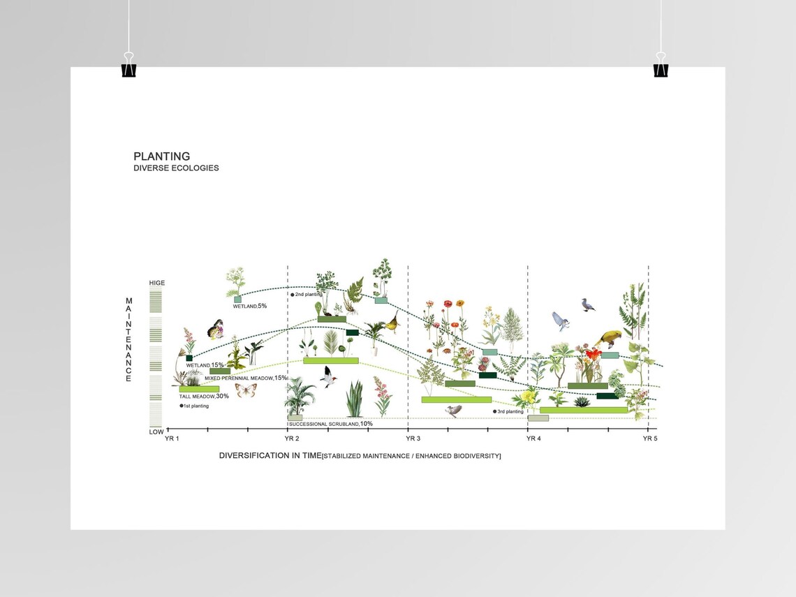 Plant Analysis PSD Template | Landscape Architecture Diagram (digital ...
