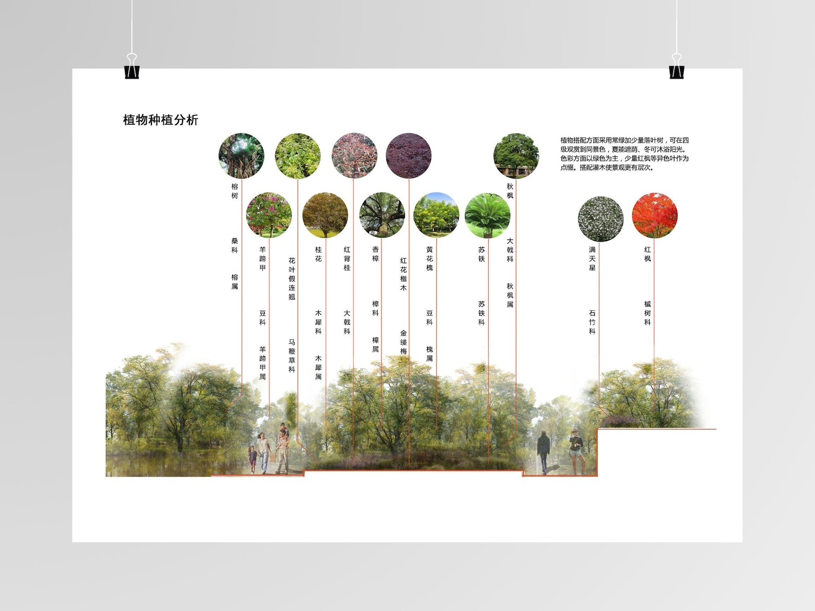 Plant Analysis PSD Template | Landscape Architecture Diagram (digital ...