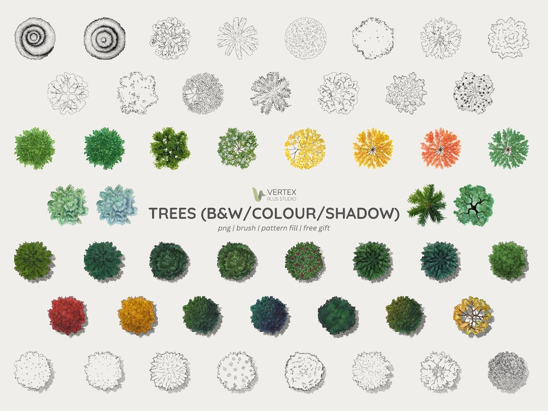 Tree B&W, Coloured, Shadow | Master Plan | Landscape Architecture ...