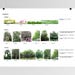 Plant Analysis PSD Template | Landscape Architecture Diagram (digital ...