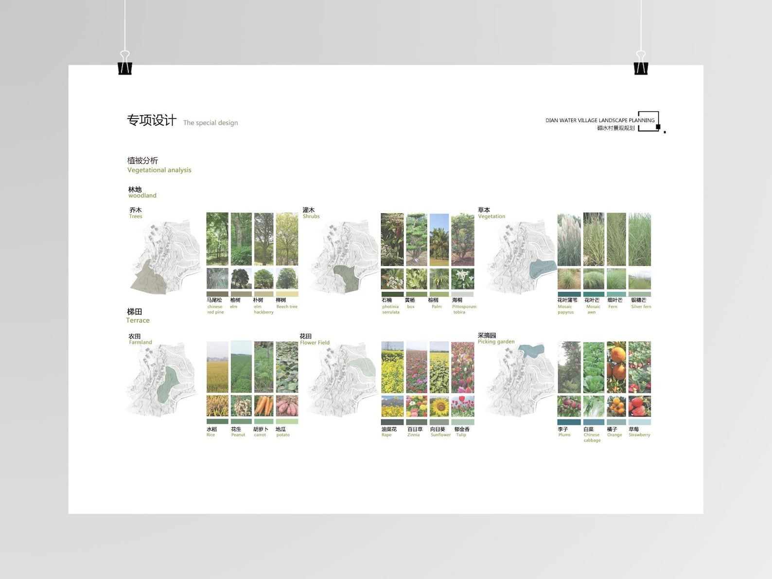 Plant Analysis PSD Template | Landscape Architecture Diagram (digital ...