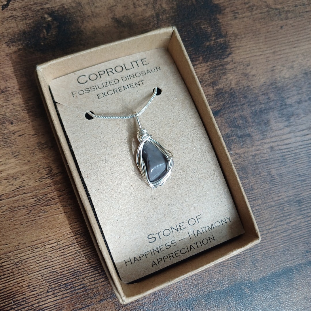Coprolite Wire Wrapped Necklace, Fossilised Dinosaur Poo - Etsy