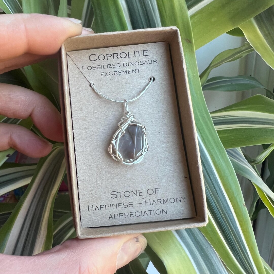 Coprolite Wire Wrapped Necklace, Fossilised Dinosaur Poo - Etsy
