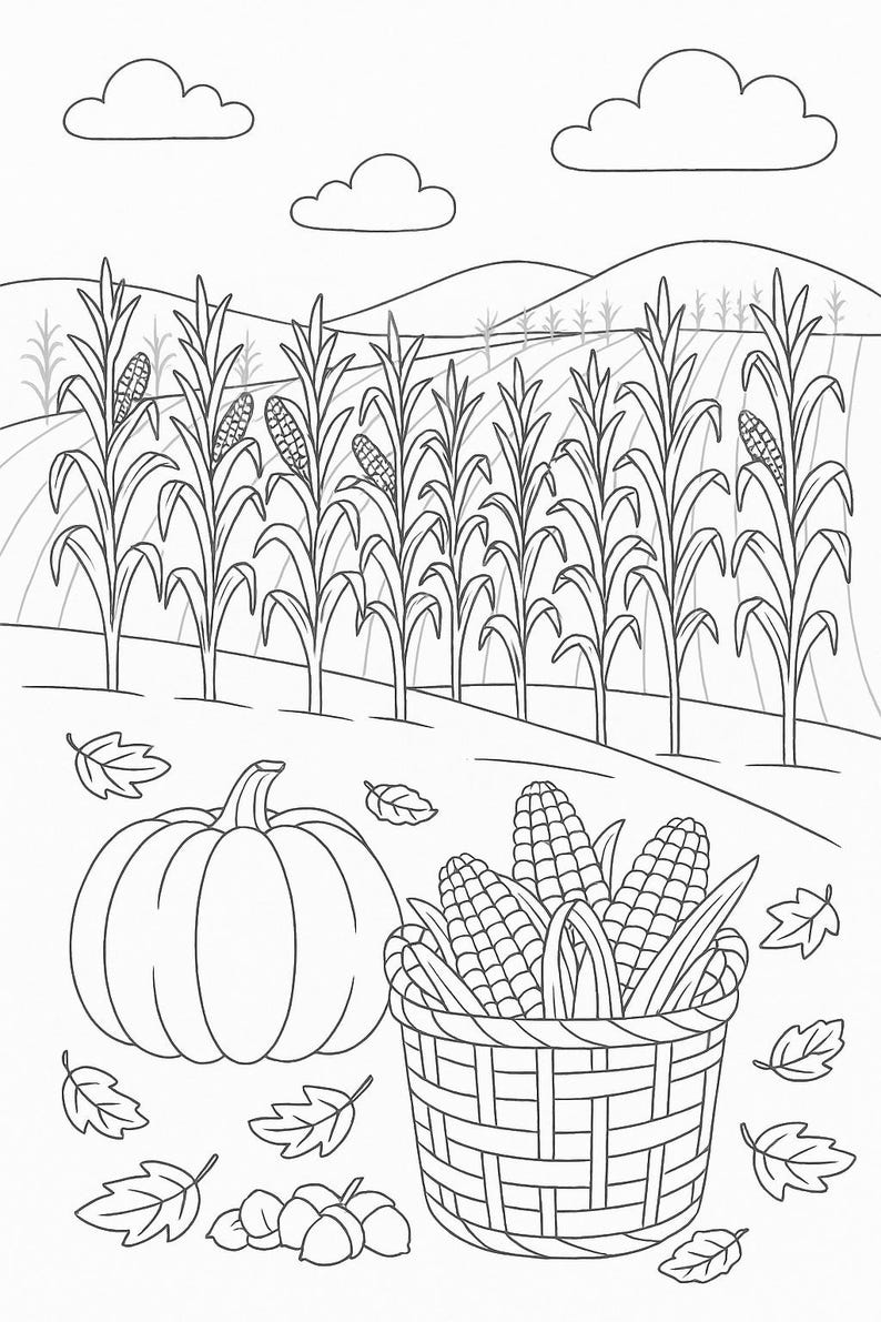Autumn Coloring Book for Kids: Woodland Animals, Pumpkins (PDF File) - Etsy