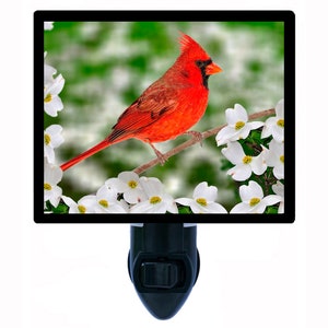 Decorative Photo Night Light, Male Northern Cardinal, Red Bird, Birds ...