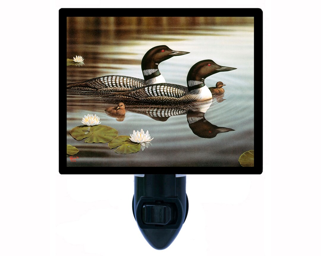 Loons Decorative Photo Night Light, Family Cruise Loons, Lake Night ...