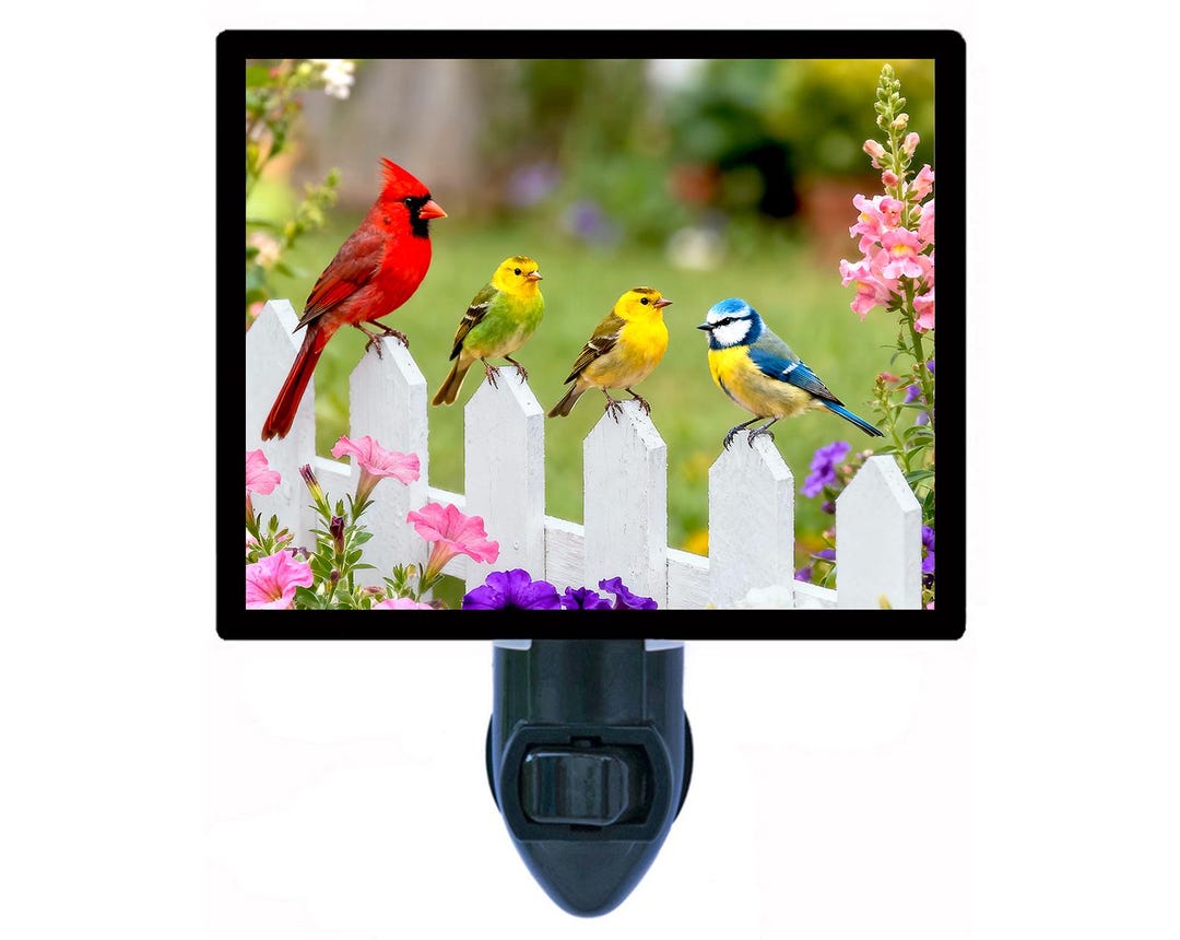 Birds in Blooms – Songbird Night Light – Garden Flowers Art Decor ...