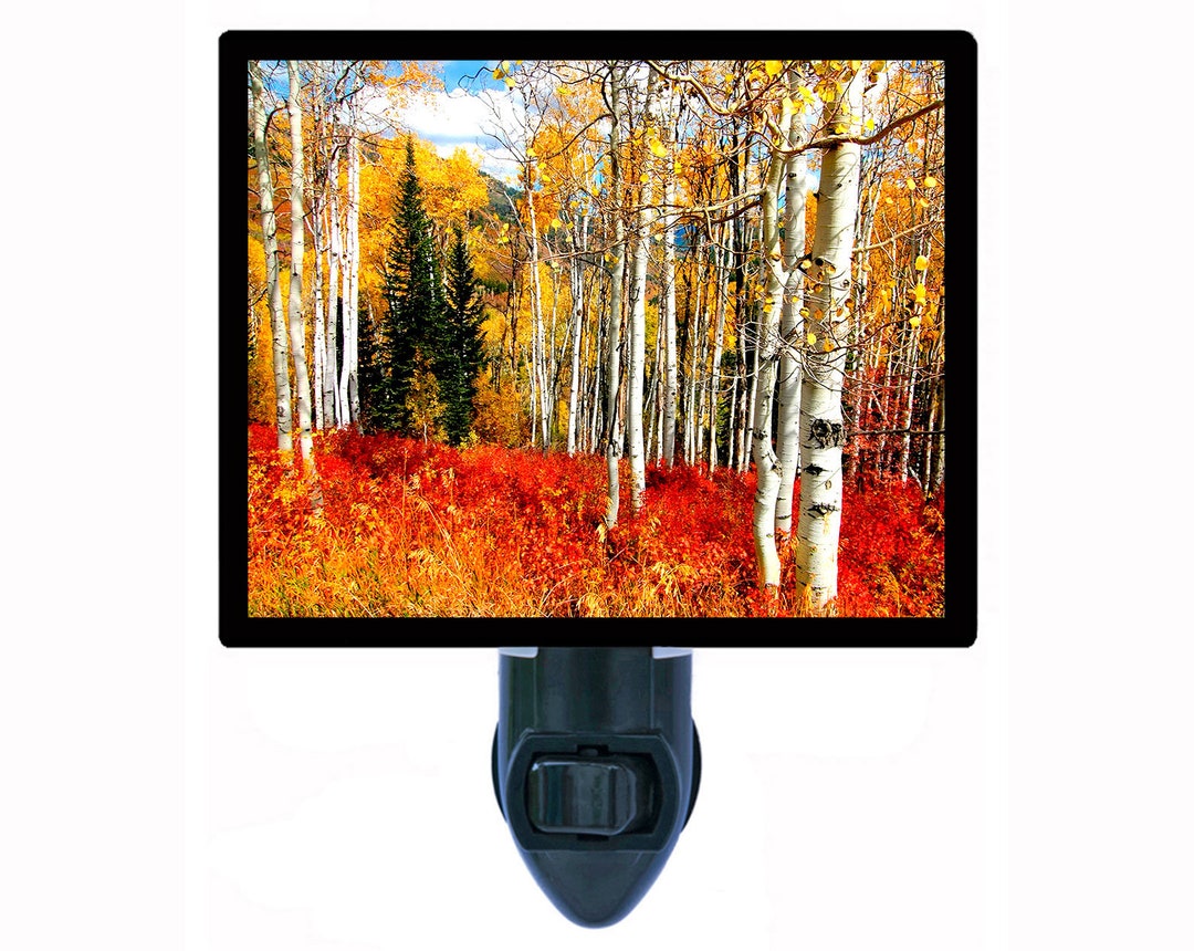 Fall Splendor – Autumn Trees Night Light – Cozy Fall Plug in Light ...
