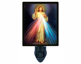 Decorative Photo Night Light Pilgrim's Pride - Etsy