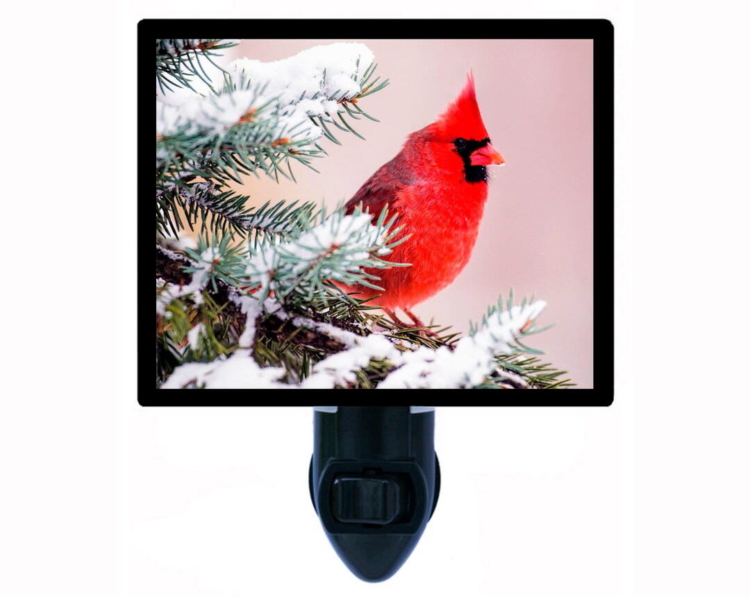 Winter Cardinal – Red Bird Night Light – Snowy Wildlife Decor – Cozy ...