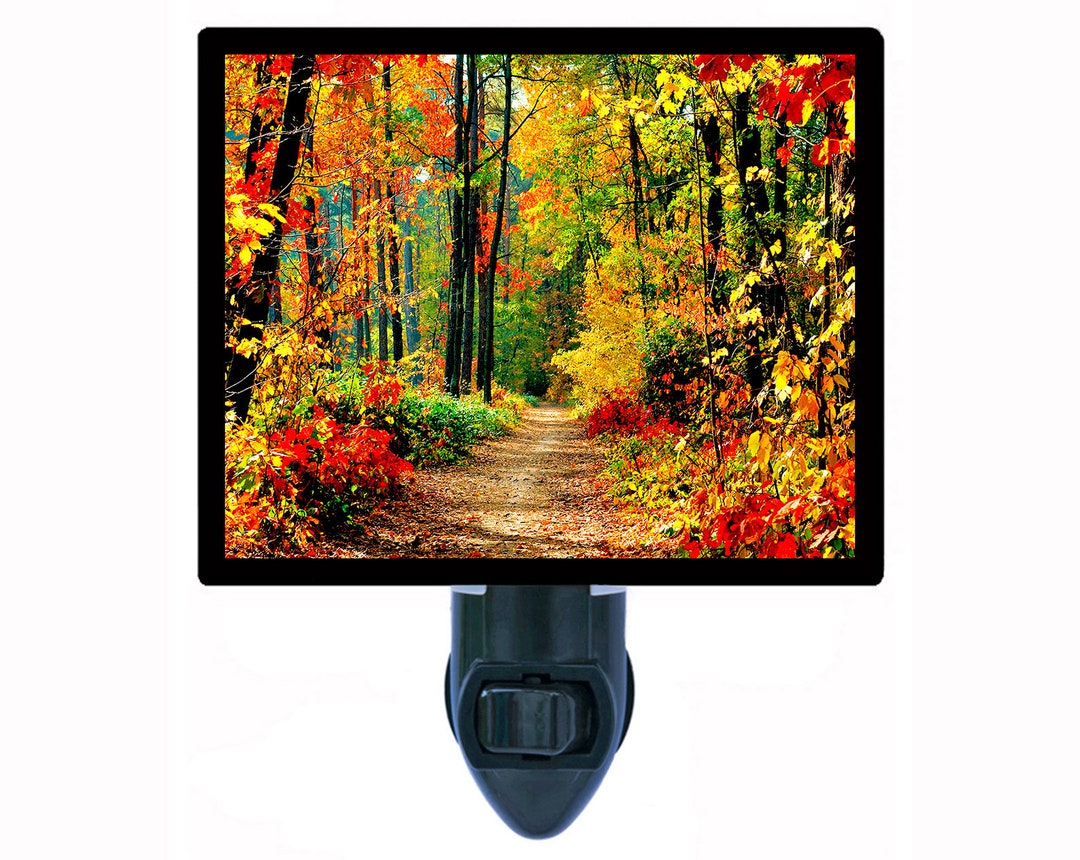 Colors of Fall – Autumn Trees Forest Night Light – Cozy Fall Plug in ...