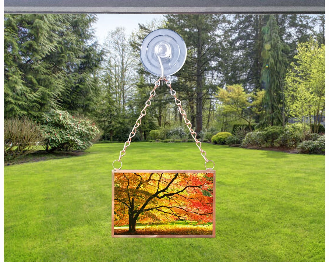 Suncatcher, Japanese Maple, Trees, Fall, Autumn, Copper Chain, Glass ...