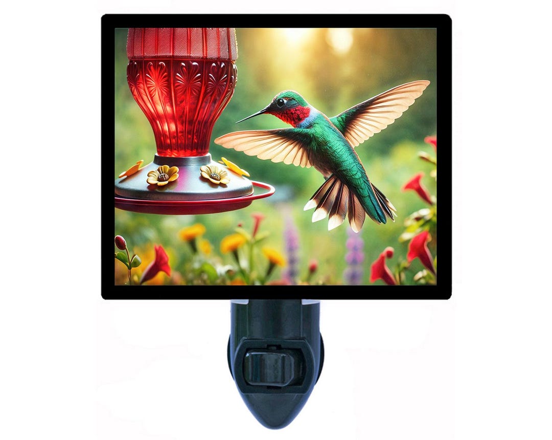 Hummingbird at Feeder – Birds Night Light – Hummingbird Plug in Light ...