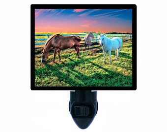 Texas Night Light - Etsy