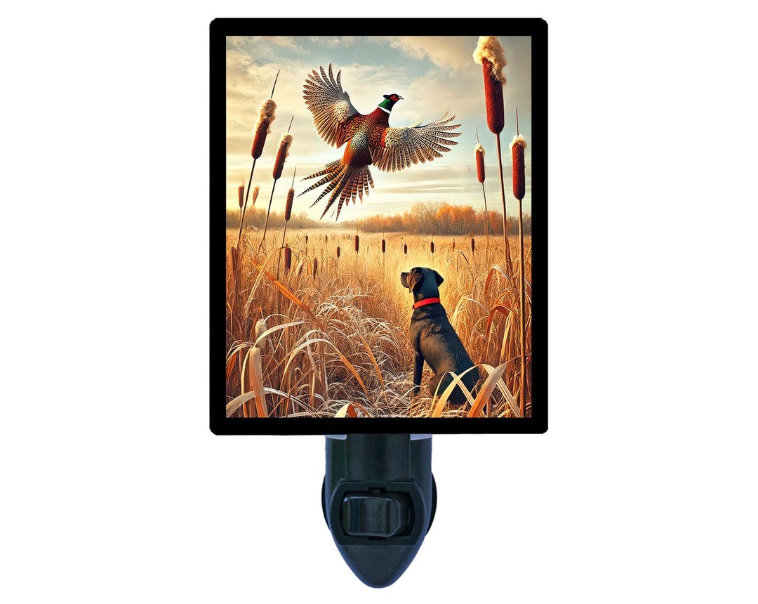 Hunters Gaze – Pheasant Hunting Night Light – Dog Plug in Light ...
