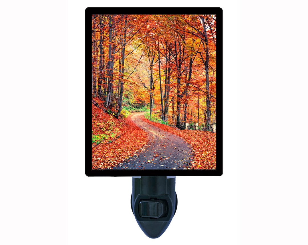 Mountain Forest – Trees Fall Autumn Night Light – Cozy Plug in Light ...