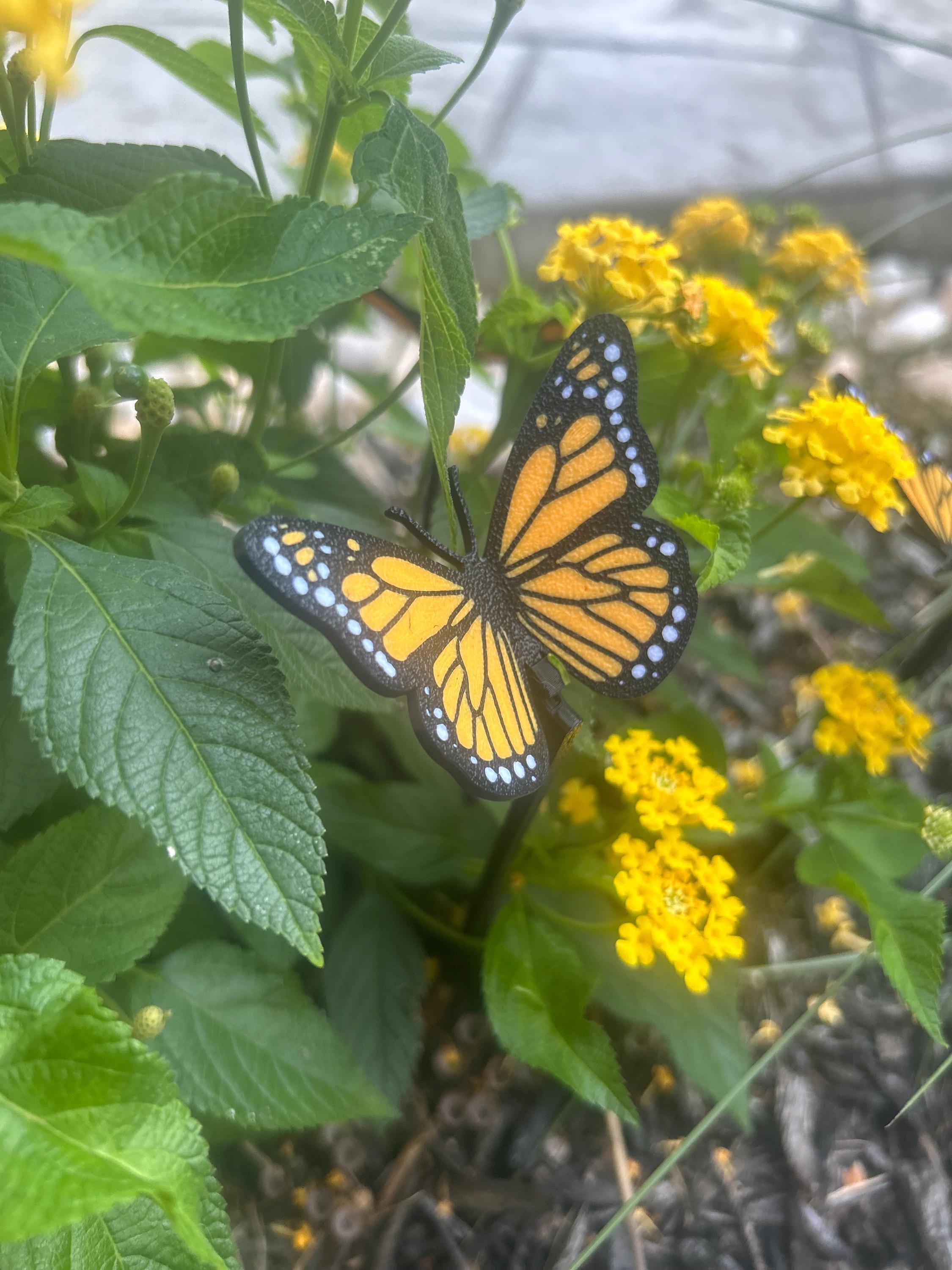 3D Printed Monarch Butterfly Garden Decor: DIY Plant Pot Accessory - Etsy