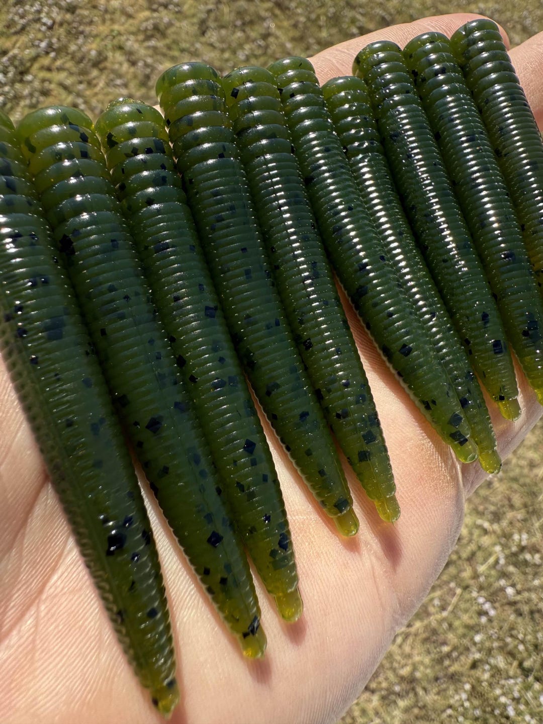 10pk 3" Watermelon Seed Ned Worms – Bass Fishing Soft Plastics - Ned ...