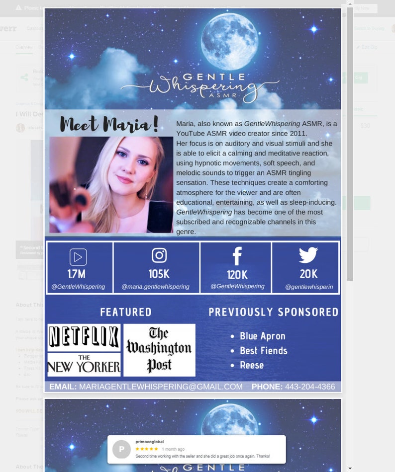 Professional Media Kit, Press Kit, Advertiser Kit, Blogger Kit , Etc ...